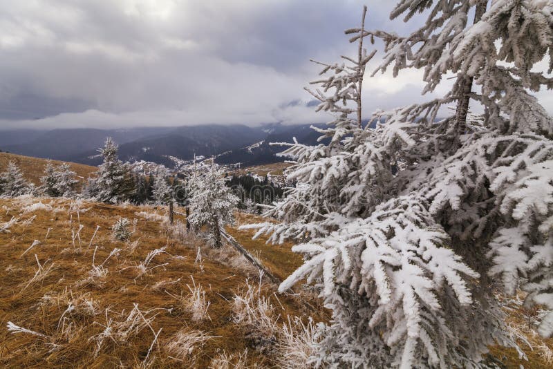 Heavy Frost in the Mountains Stock Photo - Image of natural, background ...