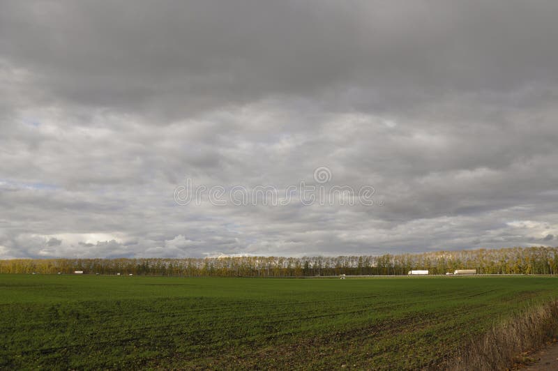 Heavy Grey Clouds in the Cold Autumn Sky Over Green Fields Stock Photo ...