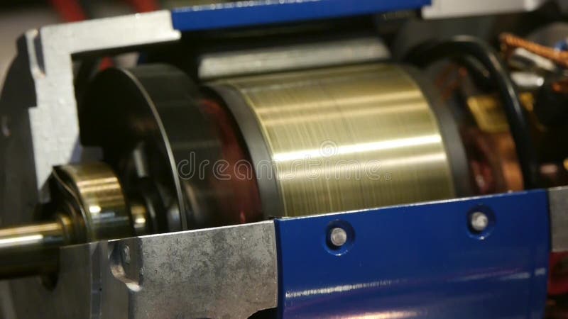 A Detailed Cross-section of a Blood Vessel with Visible Red Blood Cells ...