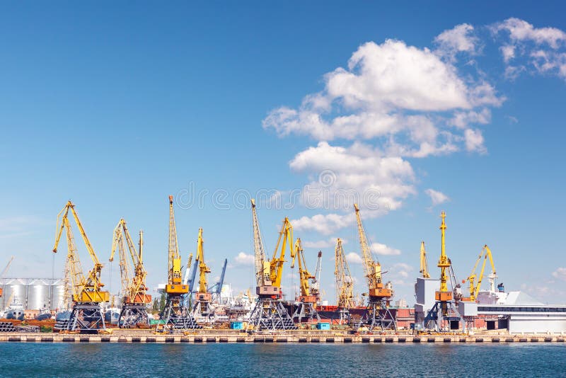 Heavy Lifting Harbor Cranes in the Cargo Seaport Stock Photo - Image of ...