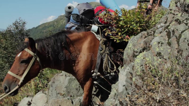Hiker With Backpack Climbing On The Mountain Range Stock Video - Video ...