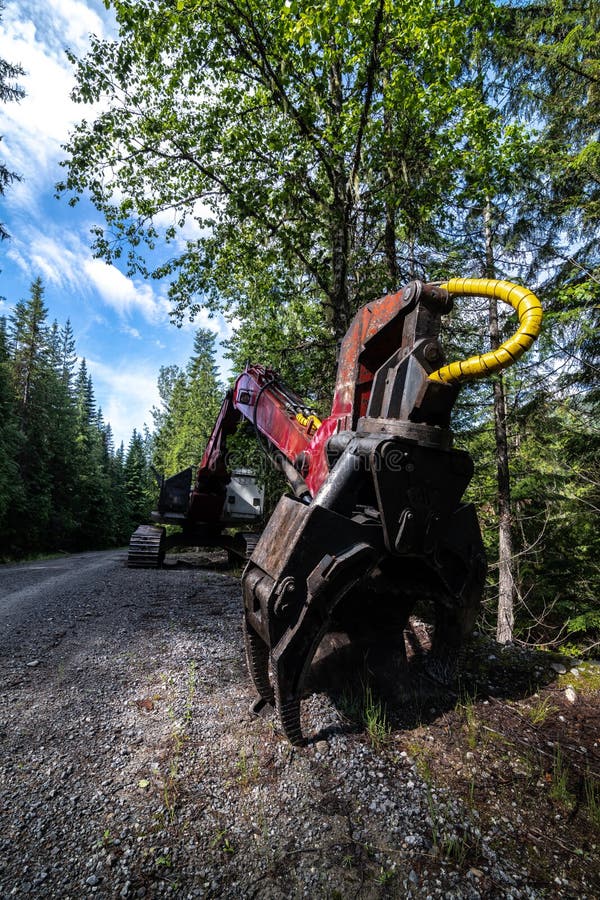 Heavy Machine for Loading Cut Trees Stock Photo - Image of rider ...