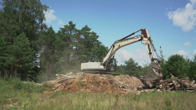 Heavy Machinery Loading Construction Debris at Forest Edge, Showcasing ...