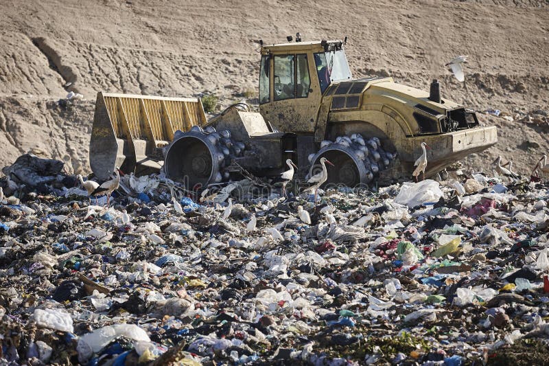 Heavy Machinery Shredding Garbage in an Open Air Landfill. Pollution ...
