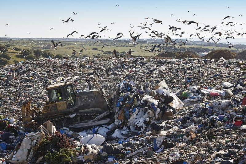 Heavy Machinery Shredding Garbage in an Open Air Landfill. Pollution ...