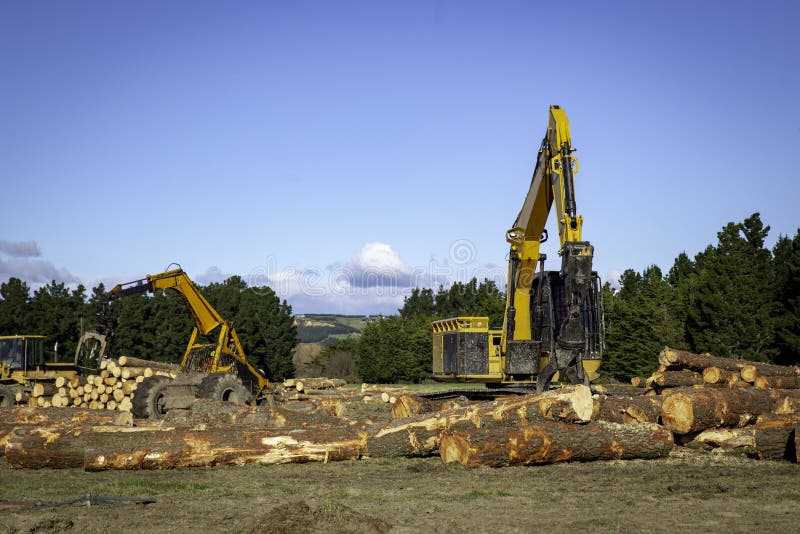 Logging Machinery in the Field for Harvesting Trees Stock Photo - Image ...
