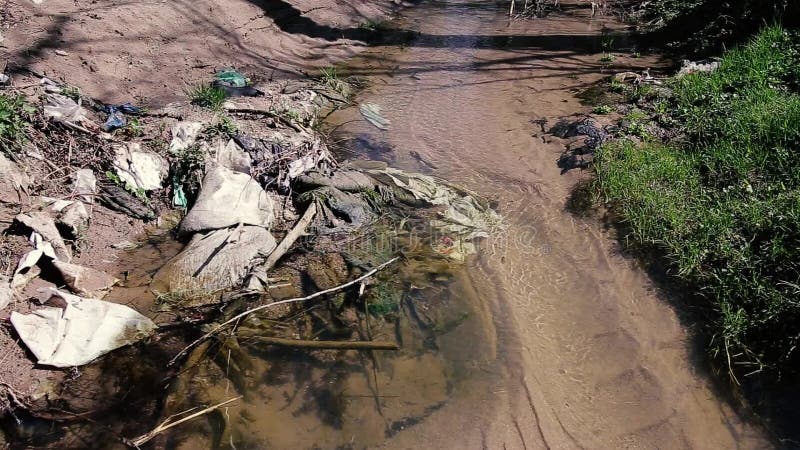 A Polluted Stream Flows Slowly, Its Surface Littered with Plastic Waste ...