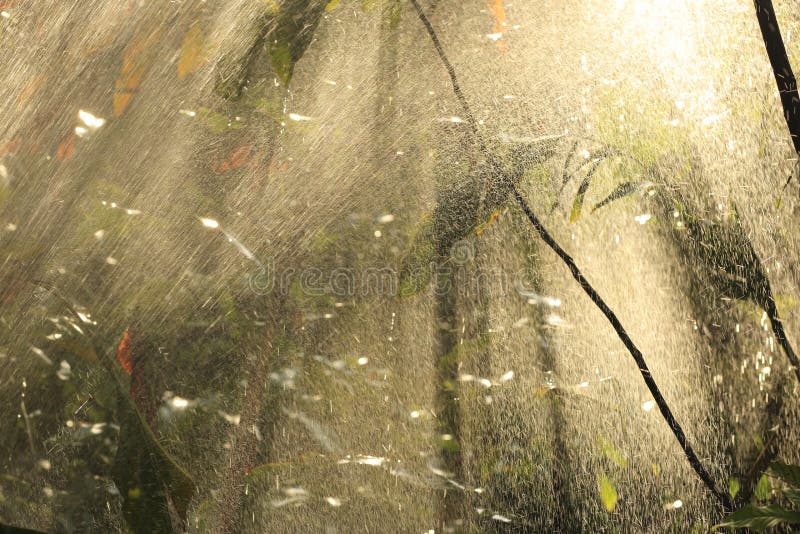 Heavy Rain Against the Sun. Stock Photo - Image of brightly, arts: 37365578