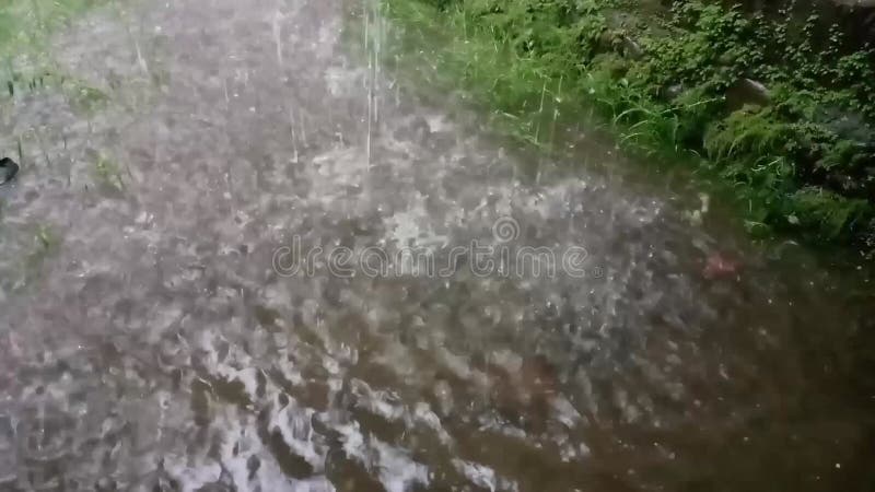 Heavy rain in the backyard stock footage. Video of drop - 309442886