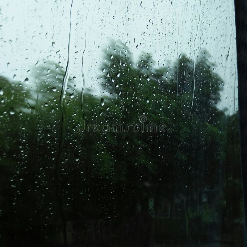 Heavy Rain Behind the Window Stock Photo - Image of heavy, branch ...