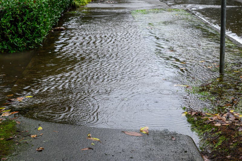 Heavy Rain Caused Flooding Over Sidewalk, Grass Strip, and Road Stock ...