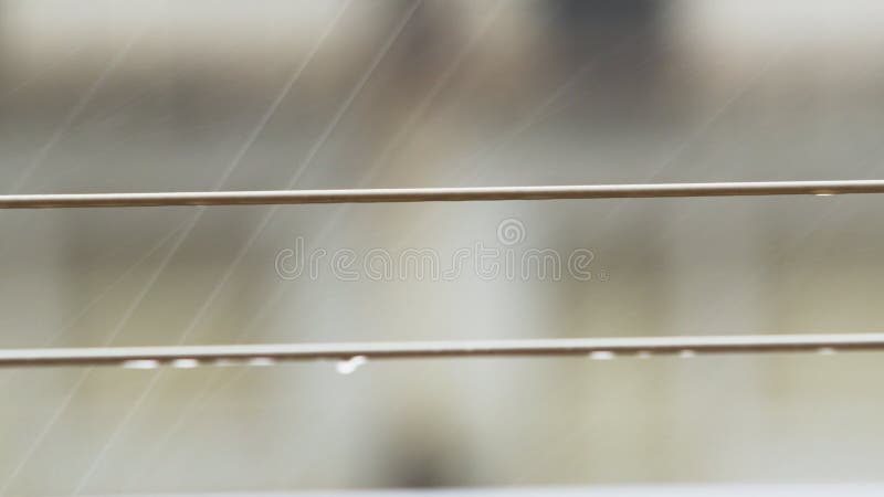 Raindrops Details Moving on a Cable during Rainfall Stock Video - Video ...