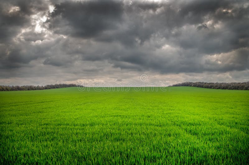Heavy Rain is Coming Soon on Green Field Stock Image - Image of grey ...