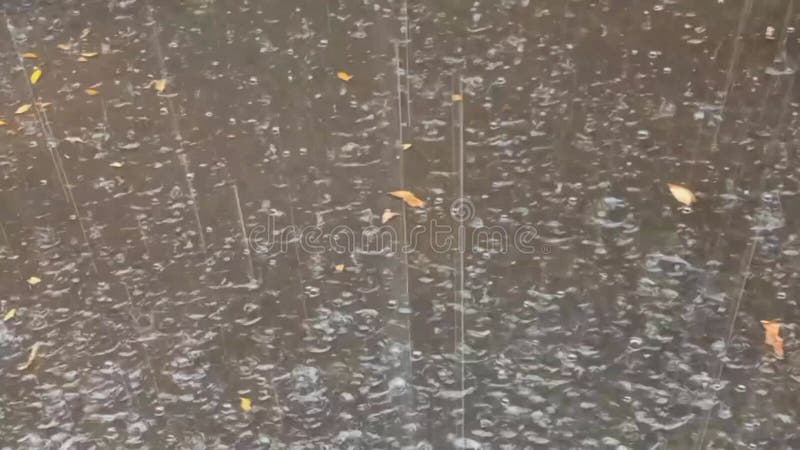 Heavy Rain during the Day Caused Waterlogging. Stock Footage - Video of ...