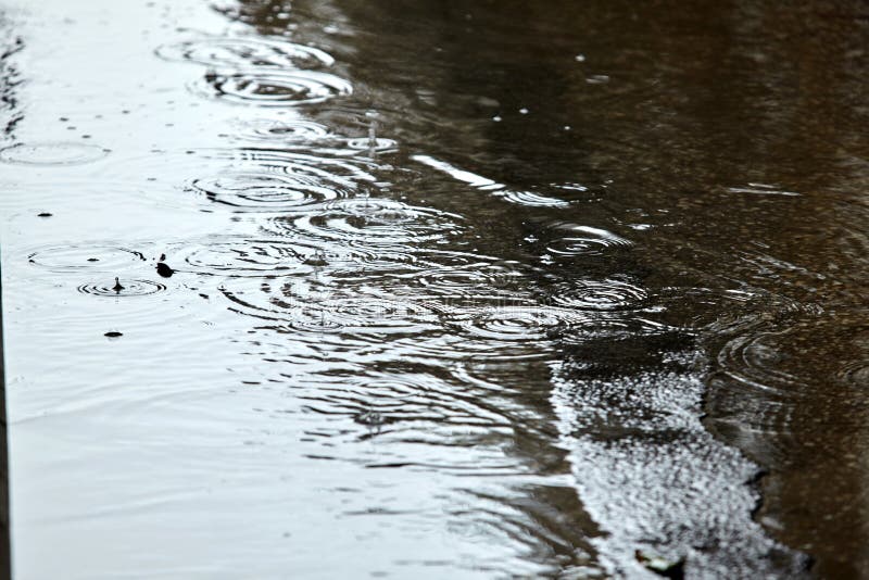 Heavy rain drops on road. stock image. Image of rain - 113053653