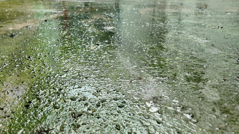 Heavy Rain Falling on a City Sidewalk. a Heavy Downpour Falling on ...