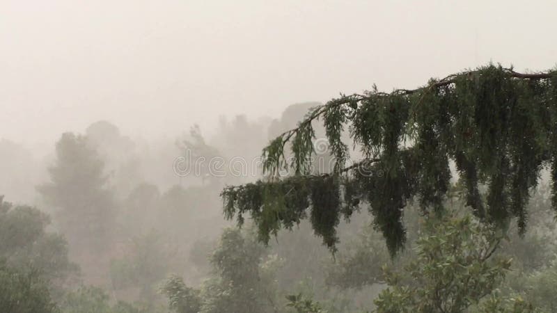 Rain Falling on Water Surface Creating Beautiful Water Ripples Stock ...
