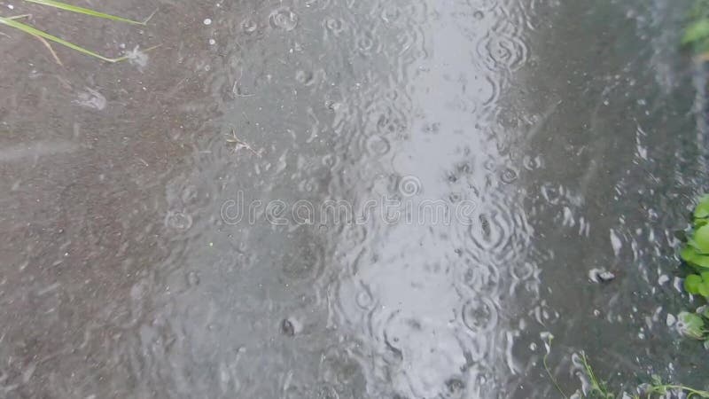 Heavy rain on the pavement stock footage. Video of outdoor - 153294554
