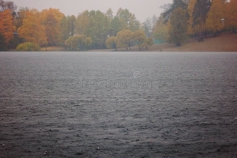 Heavy Rain on the Lake with Autumn Trees on the Shore Stock Photo ...