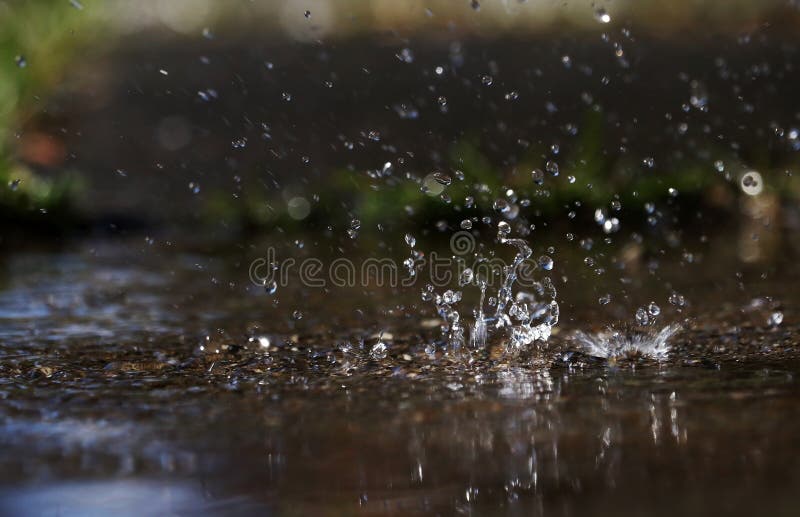 In Heavy Rain, Large Drops Fall Splashing on the Ground Stock Image ...