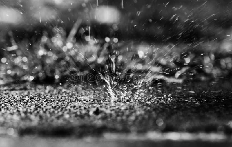 In Heavy Rain, Large Drops Fall Splashing on the Ground Stock Image ...
