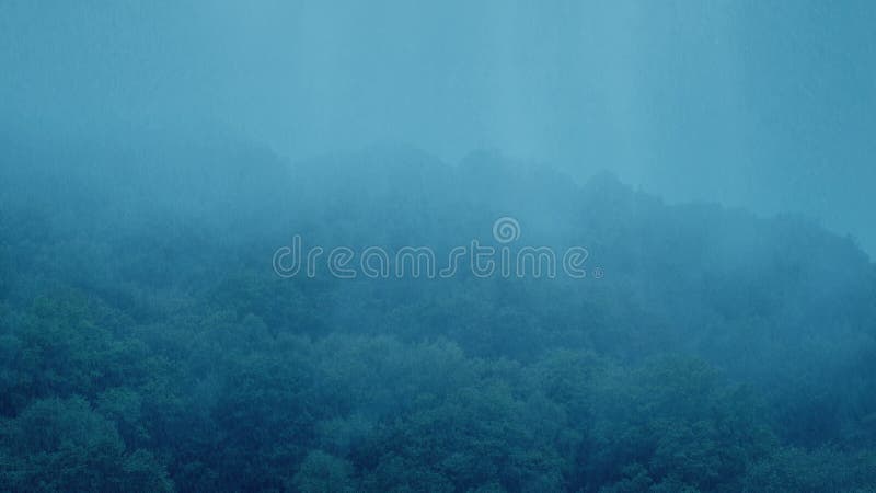 Heavy Rain and Mist Moving Over the Forest Stock Footage - Video of ...
