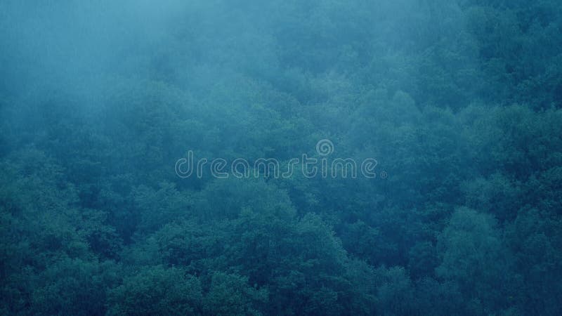 Heavy Rain and Mist Moving Over the Forest Stock Footage - Video of ...