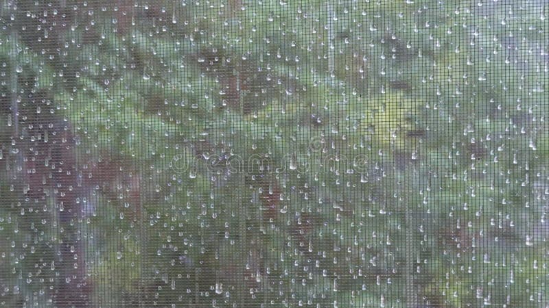 Heavy Rain Outside Window, View through Mosquito Net. Stock Video ...