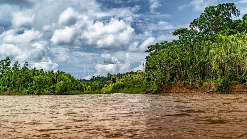 Heavy Rain Over the Amazon River and Forest Stock Image - Image of ...