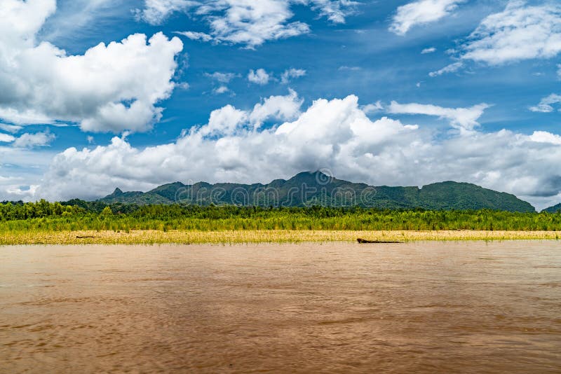 Amazon River stock image. Image of river, green, america - 363622763