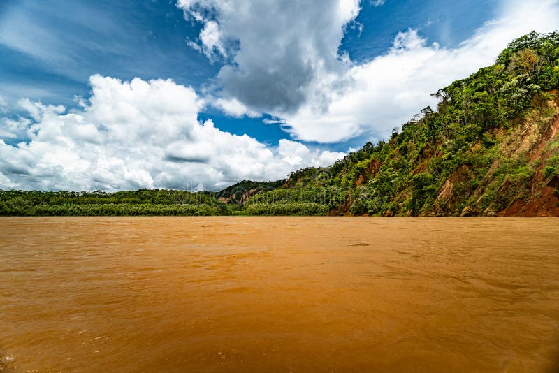 Heavy Rain Over the Amazon River Stock Image - Image of luxuriant, park ...