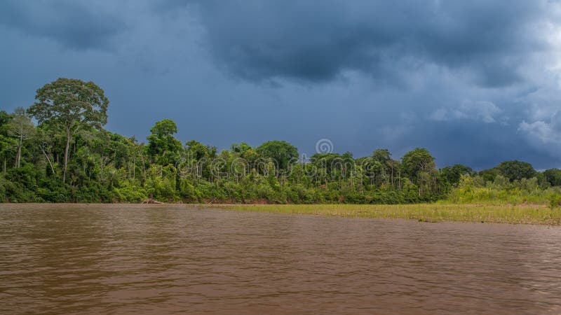 Heavy Rain Over the Amazon River Stock Photo - Image of latin, lush ...