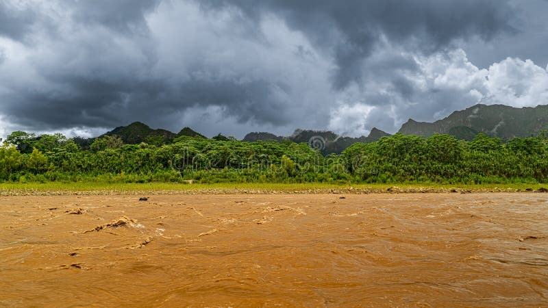 Amazon Rive stock photo. Image of latin, exotic, national - 366927966