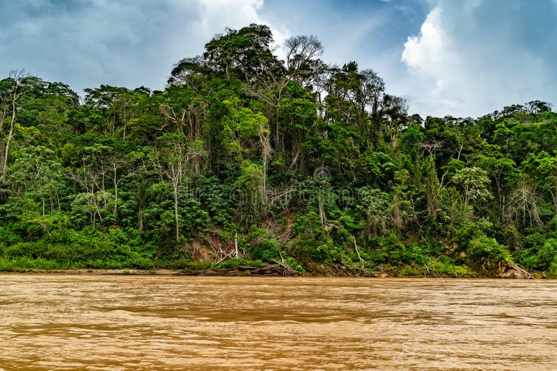 Heavy Rain Over the Amazon River Stock Image - Image of color, tree ...