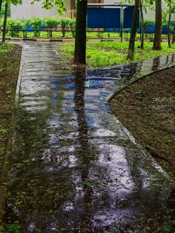 Heavy Rain and Puddles in the Park Stock Image - Image of outdoors ...