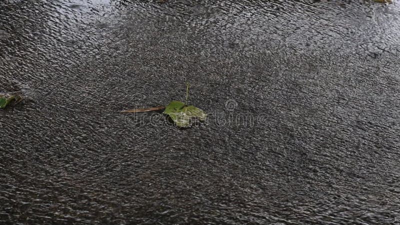 Heavy Rain on the Road , Its Flooding Stock Footage - Video of pipe ...