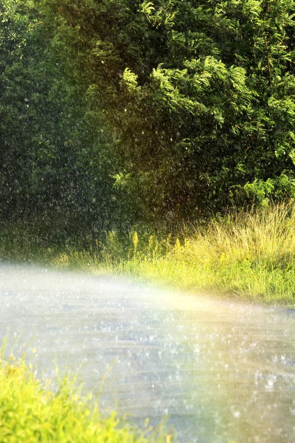 Heavy rain in summer time stock image. Image of light - 118586569