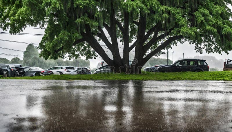 Rain Parking Stock Illustrations – 938 Rain Parking Stock Illustrations ...