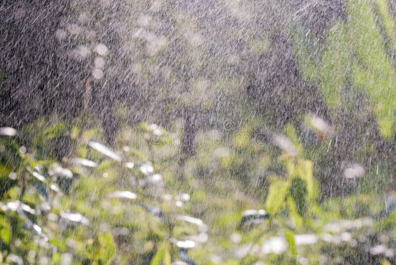 Heavy Rain stock image. Image of tropical, color, sunlight - 70109375