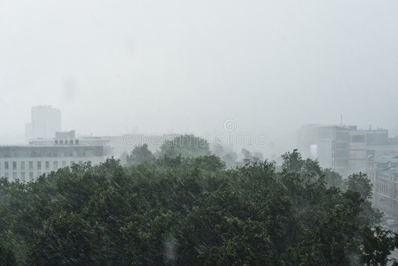 Heavy Rain and Wind, Raindrops and Swaying Trees in the Park Stock ...