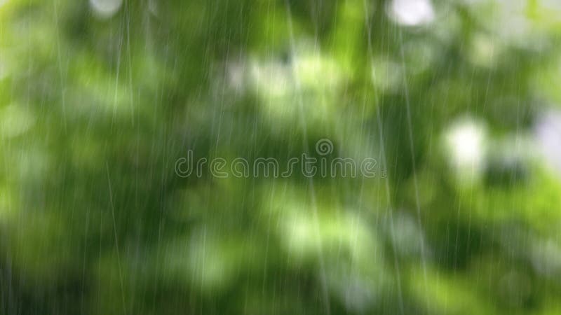 Large Lan Water Droplets Fall To the Ground and Create Splashes. Rain ...