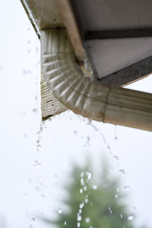 Heavy Rainfall Overflowing Roof Gutter and Not Going Down the Downspout ...