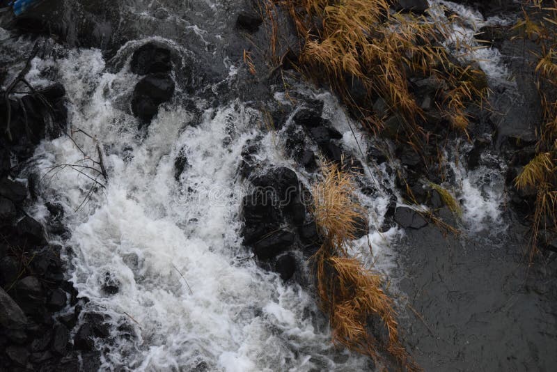 Raging Floods stock photo. Image of raging, cycle, flood - 237570998