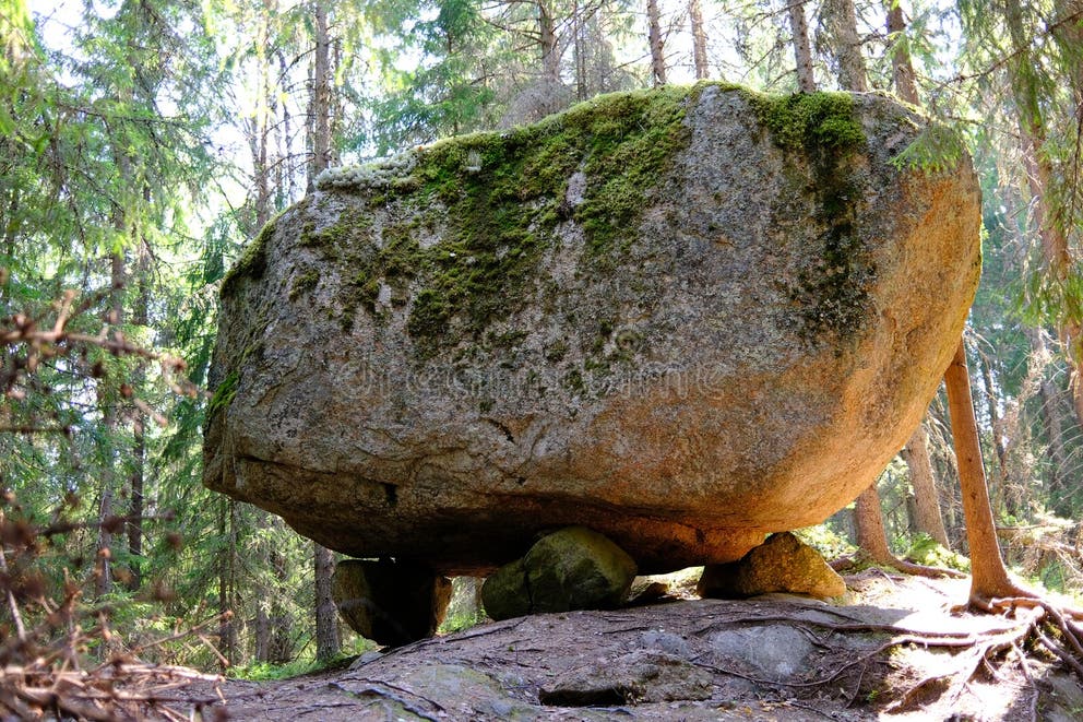 A heavy rock stock image. Image of heavy, granite, roots - 367824443