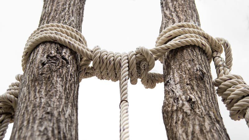 Heavy rope stock image. Image of rope, symbol, text, wood - 52729675