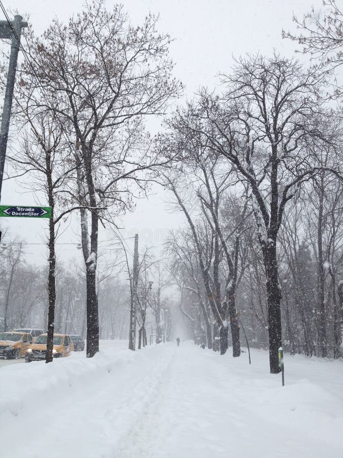 Heavy snow editorial stock photo. Image of weather, covered - 23337698
