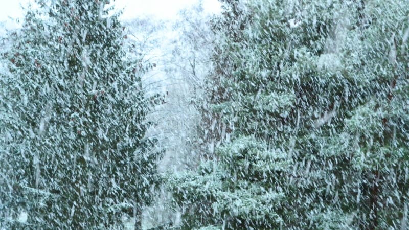 Heavy Snow Plow Clears Road during Winter Storm Digital Stock Video ...