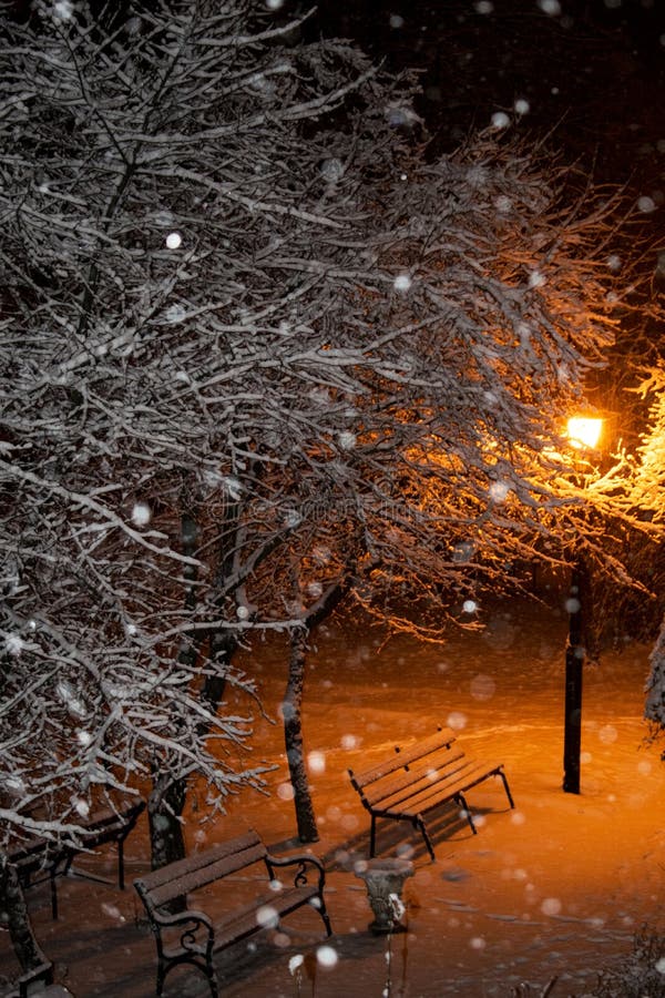 Heavy Snow on a December Night. a Very Beautiful Winter Scene Stock ...