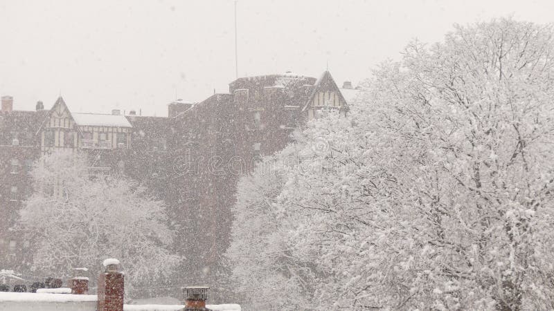 Heavy Snow Fall in the Bronx Stock Image - Image of bronx, snowy: 217499805