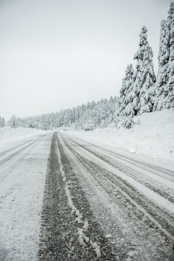 Heavy Snow Fall and Ice on a Road Surrounded by Pine Tree Setting in ...
